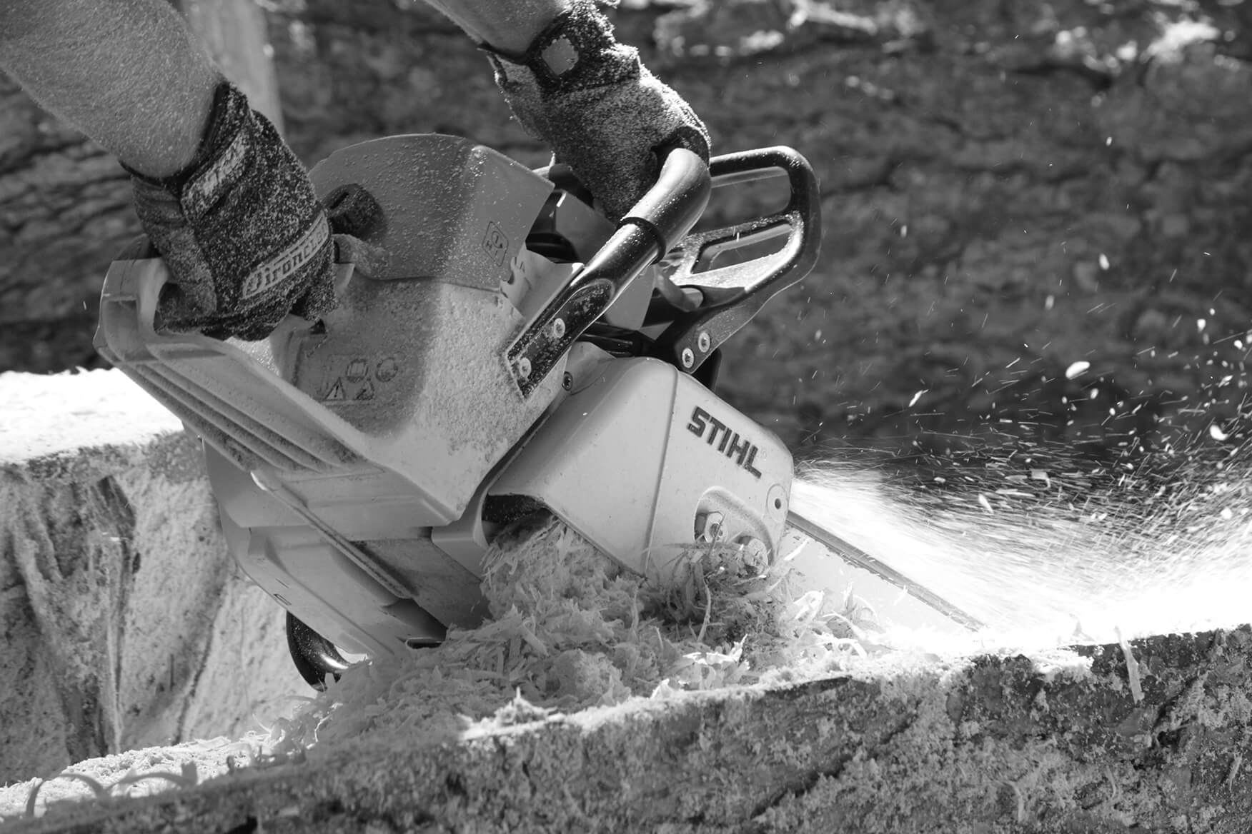 Gallery | Touchwood Tree Services