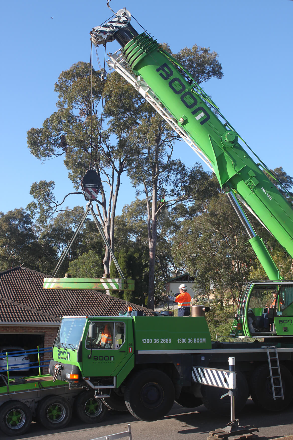 Gallery | Touchwood Tree Services